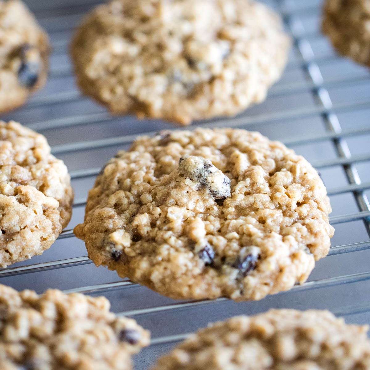 Easy Oatmeal Raisin Cookies - Cleverly Simple